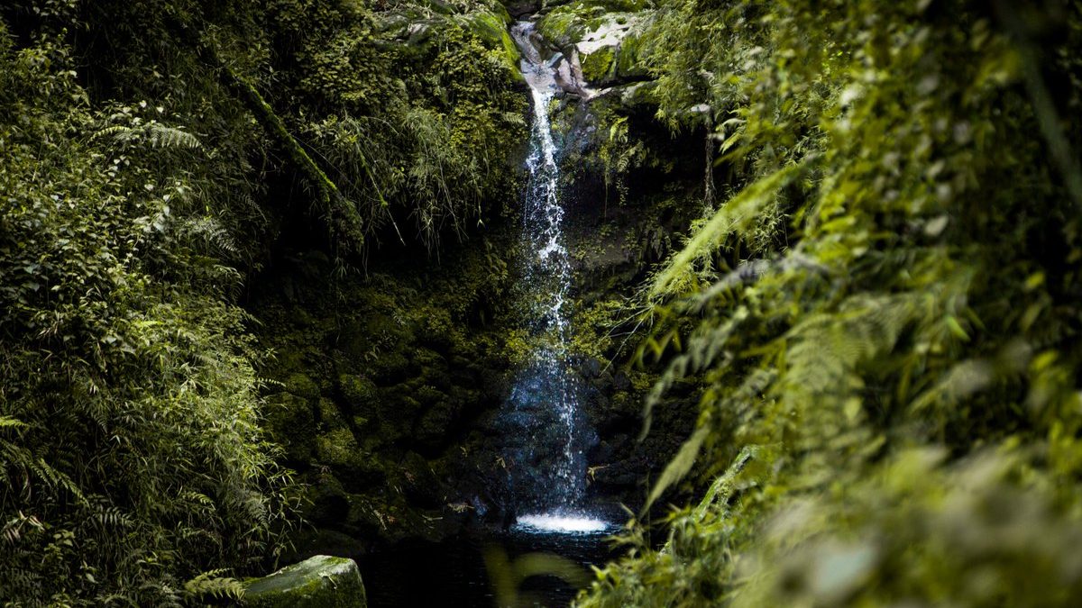 Rwanda Waterfall Search The New Times